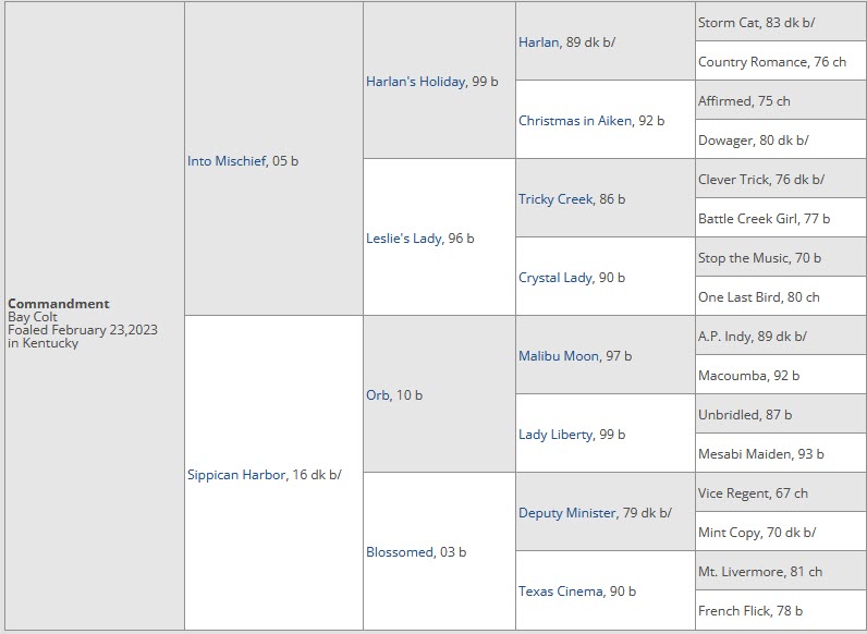 Derby pedigree: Commandment shows a nose for the wire