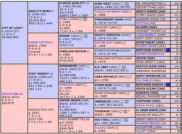 Kentucky Derby pedigree: How far can Fierceness carry speed?