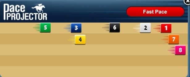 Haskell Stakes 2023: Odds, free PPs, picks, preview, more