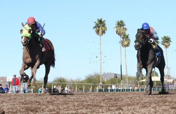 Turf Paradise limps into meet as insiders wonder what’s next