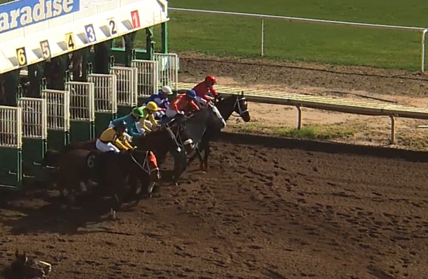 Turf Paradise limps into meet as insiders wonder what’s next