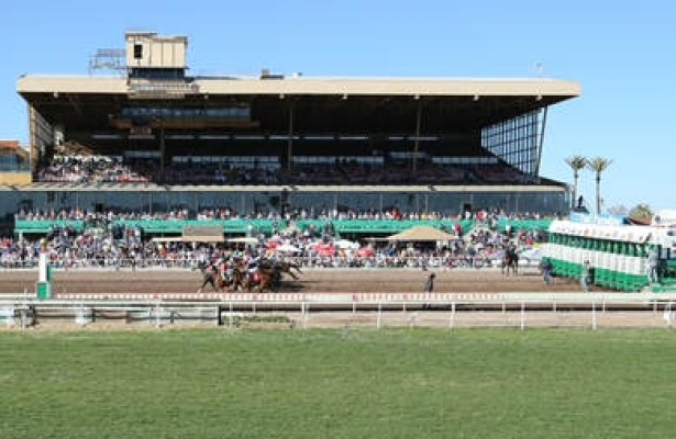 Turf Paradise limps into meet as insiders wonder what’s next