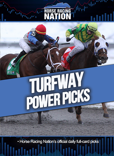 Turfway Park Picks