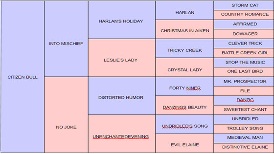 Kentucky Derby pedigrees: Explore Citizen Bull’s roots